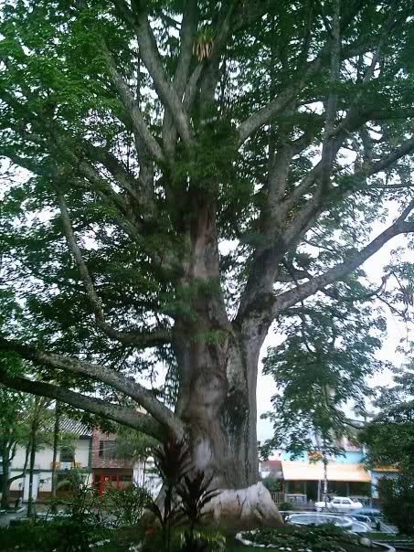 GARAGOA, "Sultana del Valle de Tenza": GARAGOA BOYACÁ