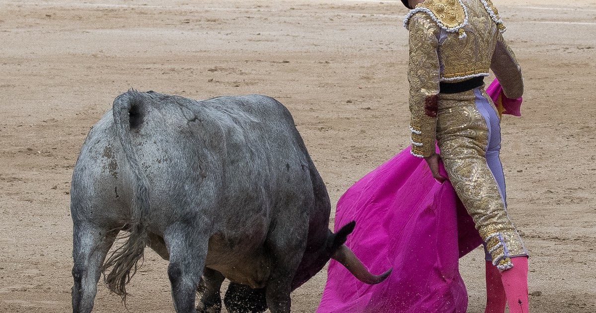 Toro, Torero y Afición: Fortes
