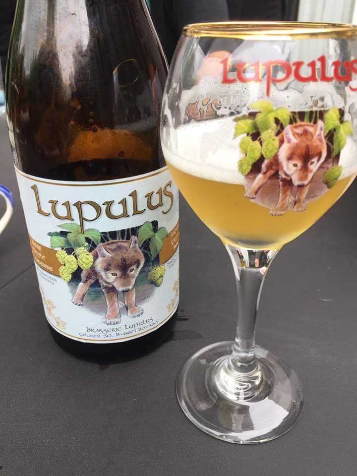 Bier+Randzaken September(1): Lupulus Blonde - België