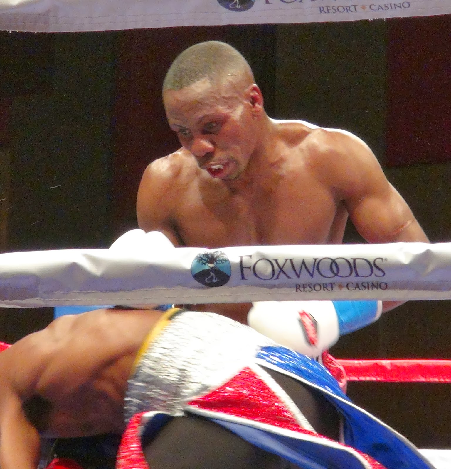 KO Fantasy Boxing: Oliver-Lock Draw; Vincent scores TKO over McPhee