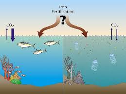 Conservation Biology