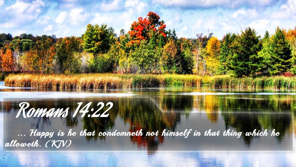 INSPIRATIONAL QUOTES | ROMANS 14:22