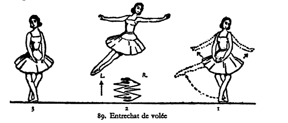 La Danse du Coeur: Teorias: Entrechats