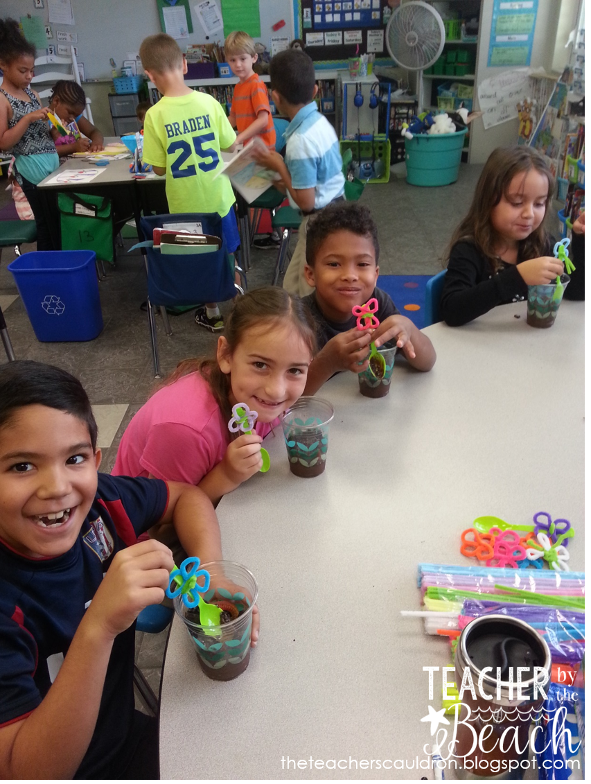 Spring Day! - Teacher by the Beach