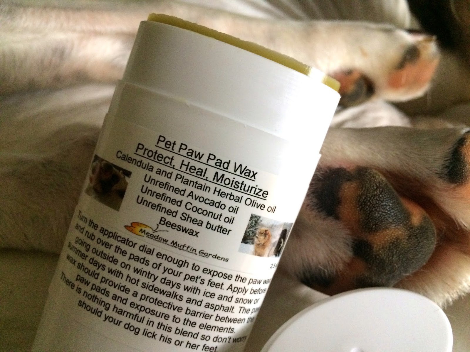 Meadow Mutts & Mew Mews: Pet Paw Winter Protection