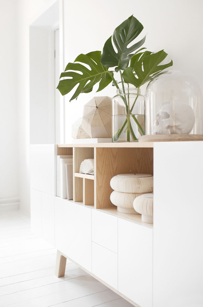 Il mio filò : #Green style: MONSTERA