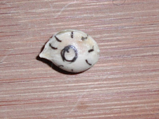 Sun Today: 26 June 2012 - Mandarin Pips