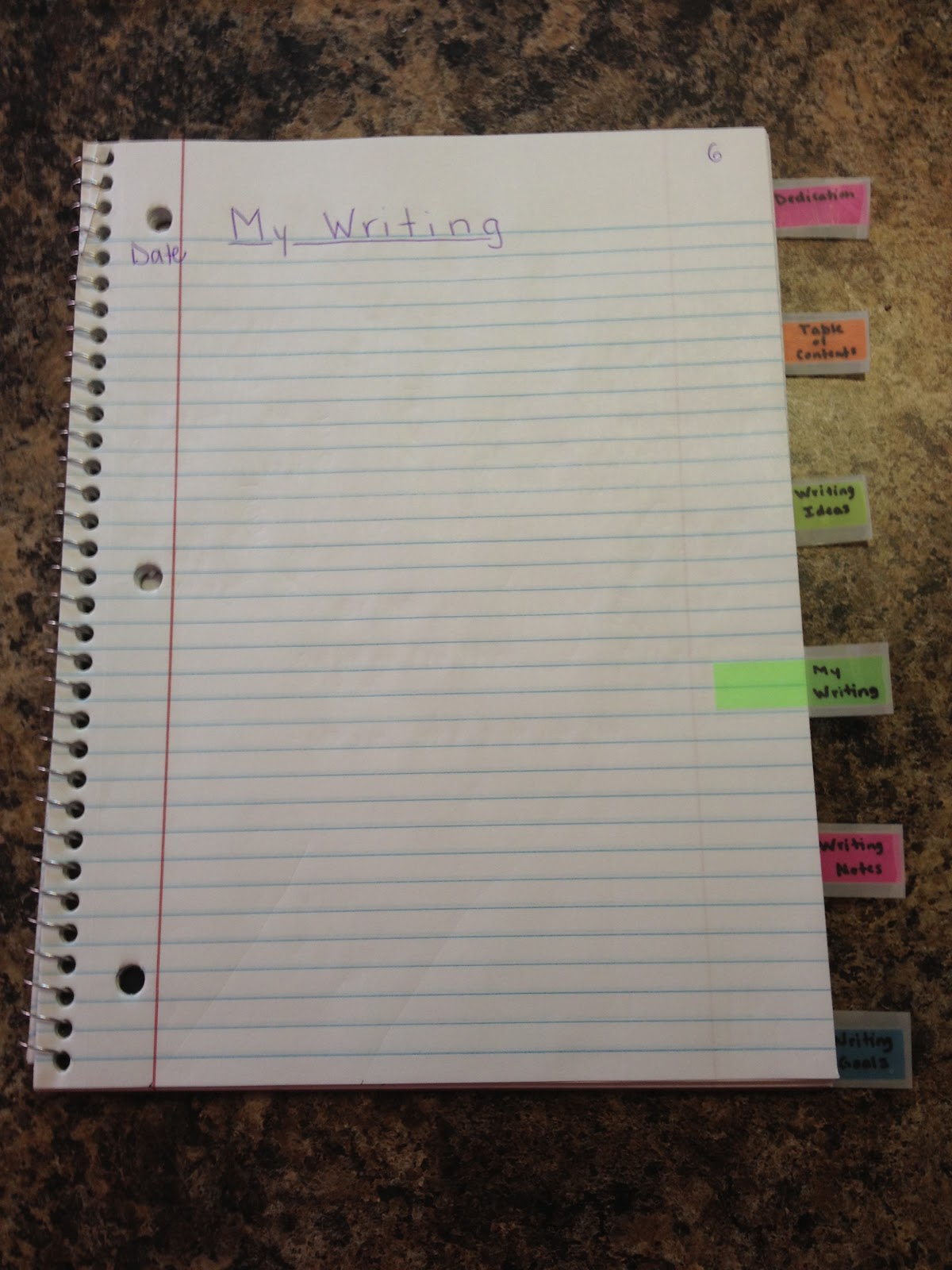 Apples of Your Eye! ~*~: Writer's Notebook Organization!