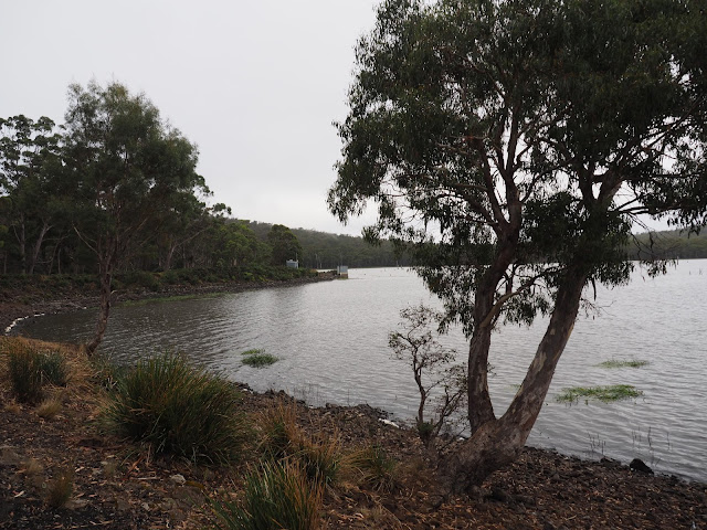 Tooms Lake | Hiking South East Tasmania