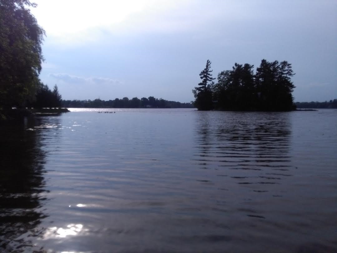 All the neighbours wished me well: Kendrick Beach (First Day of Summer ...