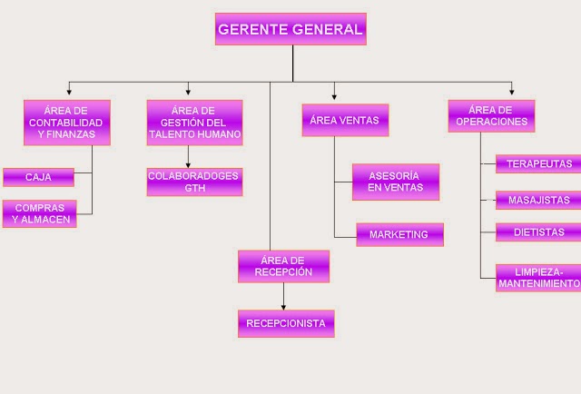 **SPA BELLEZA**: ORGANIGRAMA