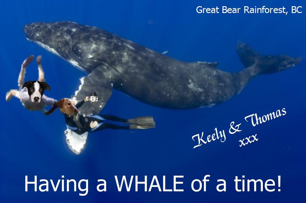 Keely & Thomas: Keely's Birthday Holiday : CANADA