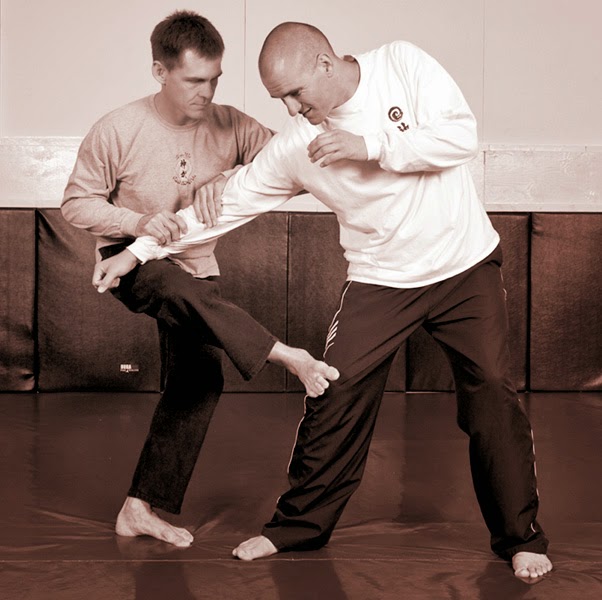 The role of free sparring