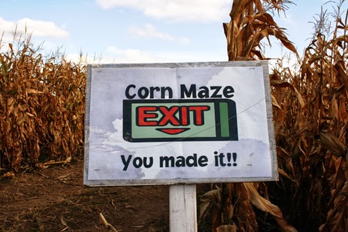 Oh Beloved! Live in the Light of His Word!: Does Life Feel LIke a Maze?