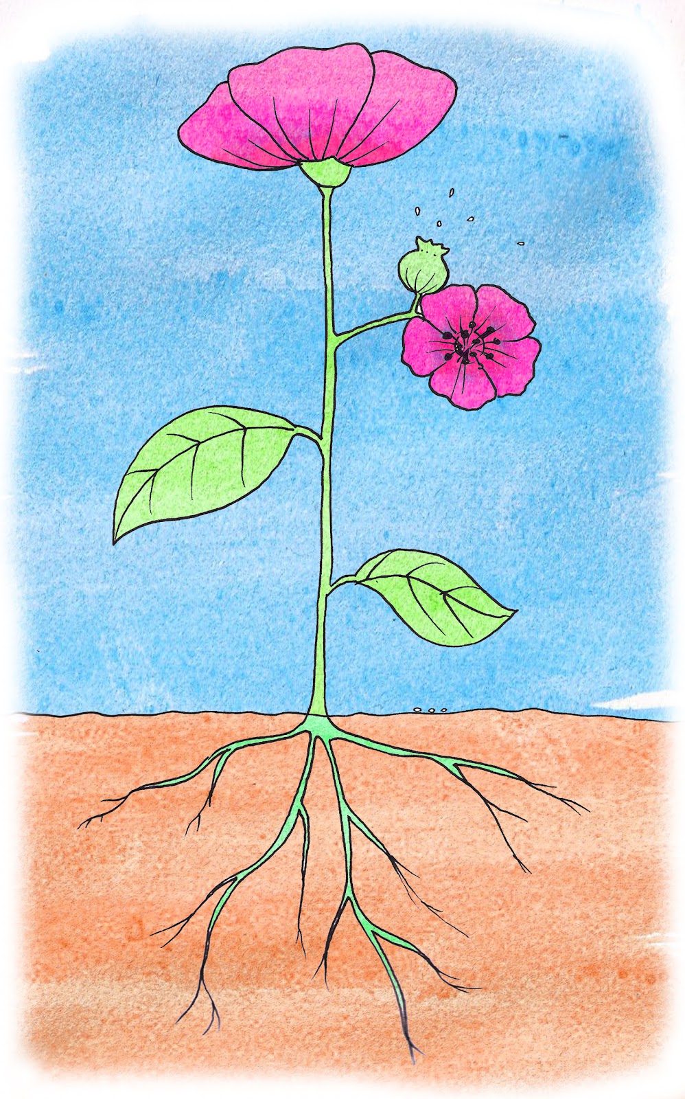 en mi sala de clases...: diciembre 2012