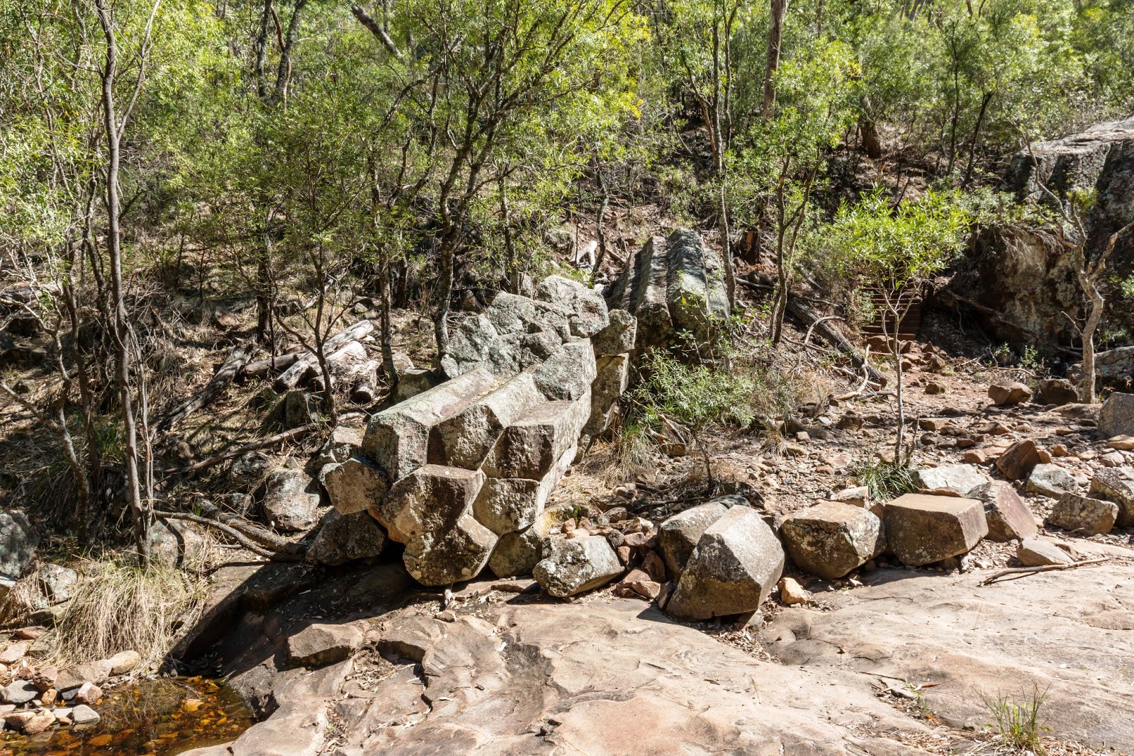 National Park Odyssey: Sawn Rocks, Mount Kaputar National Park, NSW.