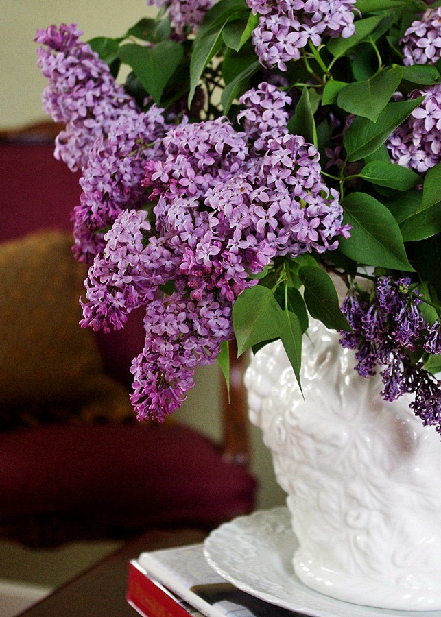 Happy To Design: Lilacs in the Living Room