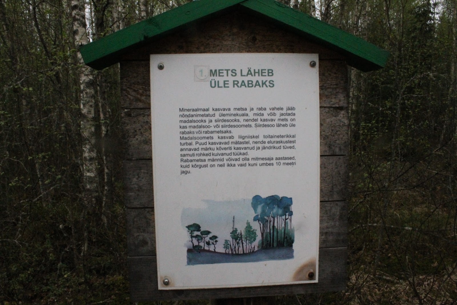 Meie klassi toimetamised: Õppekäik.Matk Valgesoo rabas.