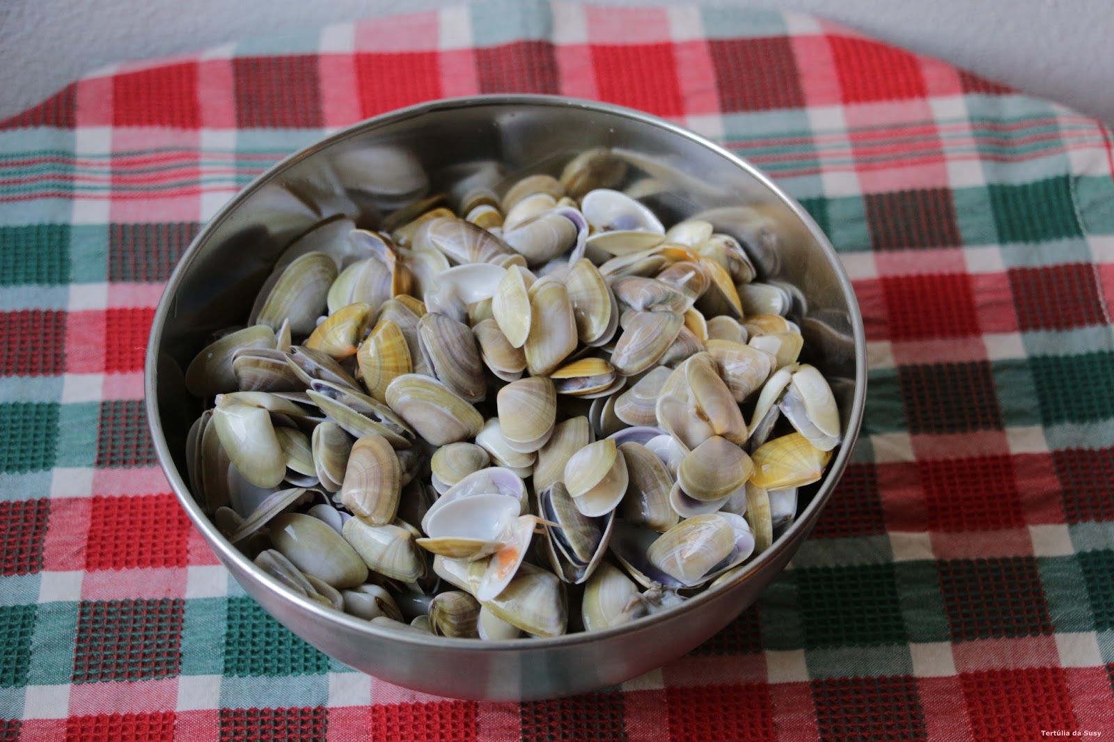 Conquilhas - Tertúlia da Susy