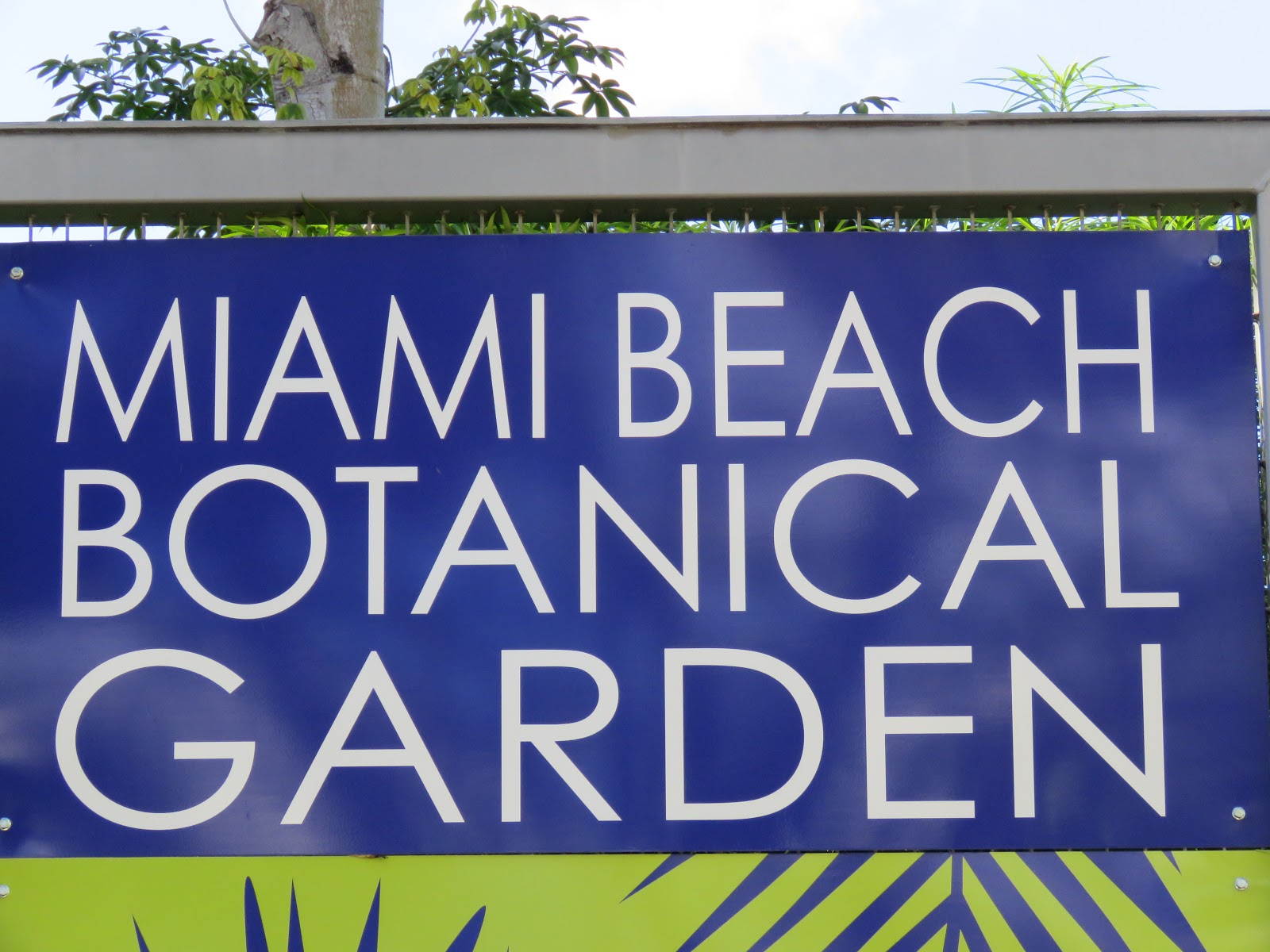Bonao Internacional: GALERIA : JARDIN BOTANICO DE MIAMI BEACH , FLORIDA