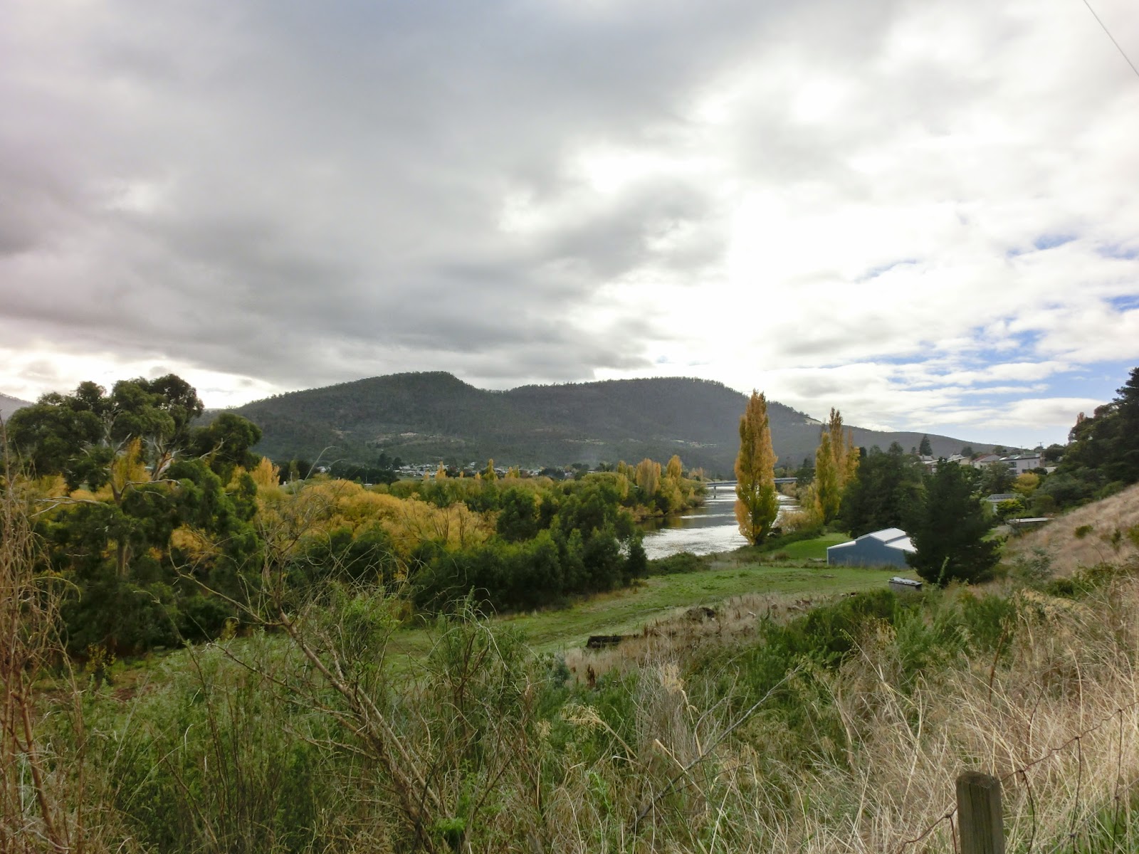 Toshio in Tasmania: DAY 5 Mount Field NP