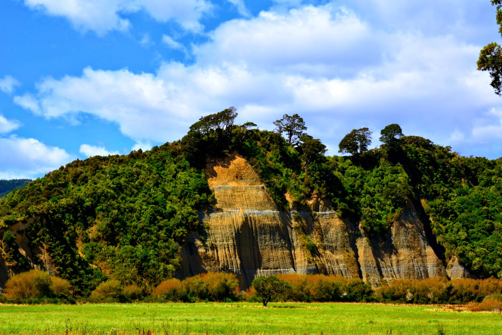 PL Fallin Photography: Rivendell, Elves and A Swinging Bridge, Kaitoke ...