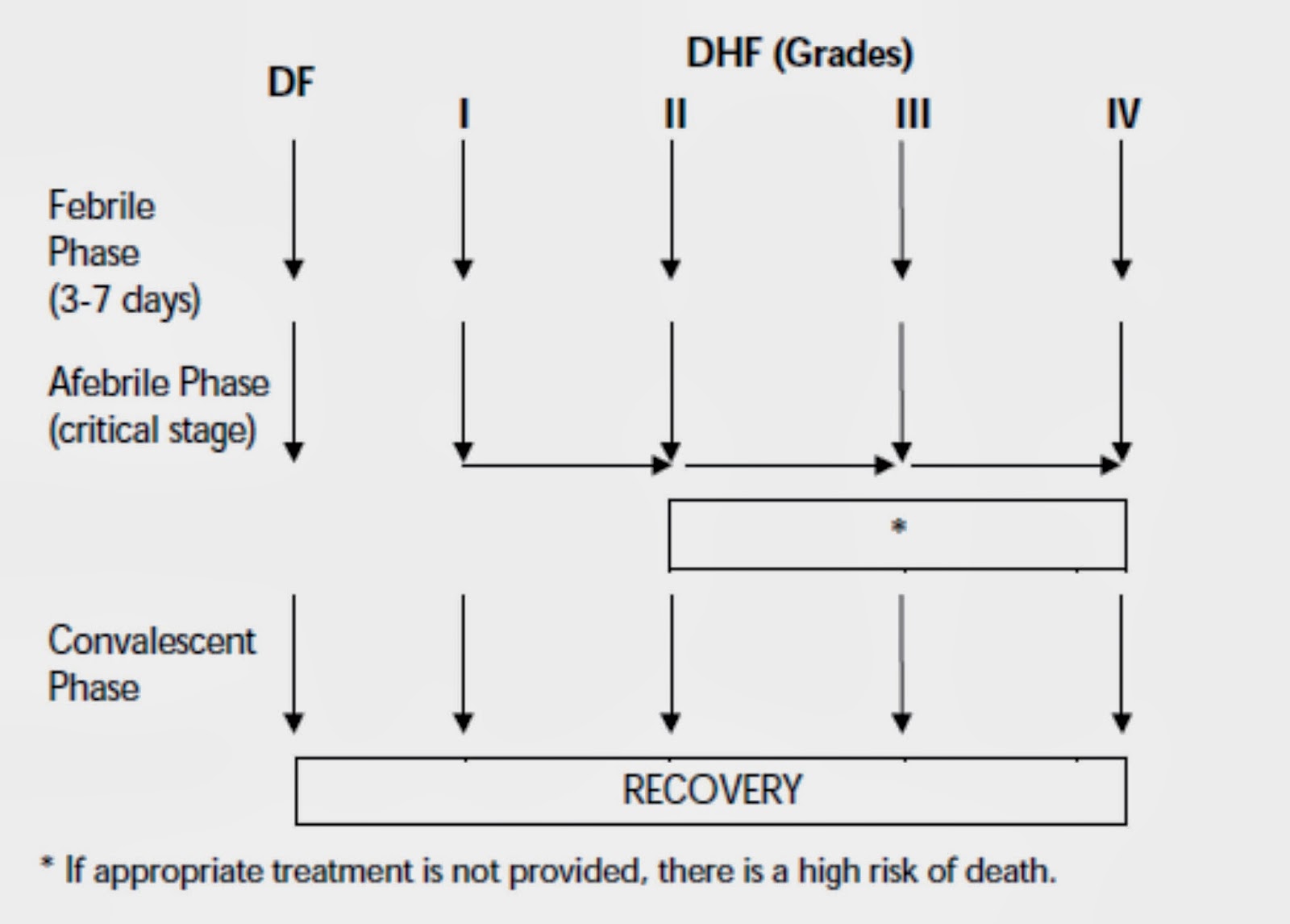 Asuhan Keperawatan Pada demam dengue dan demam berdarah dengue