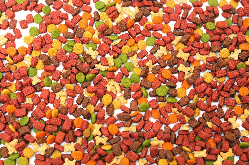 Harrison's Handbook For a Healthier Bird