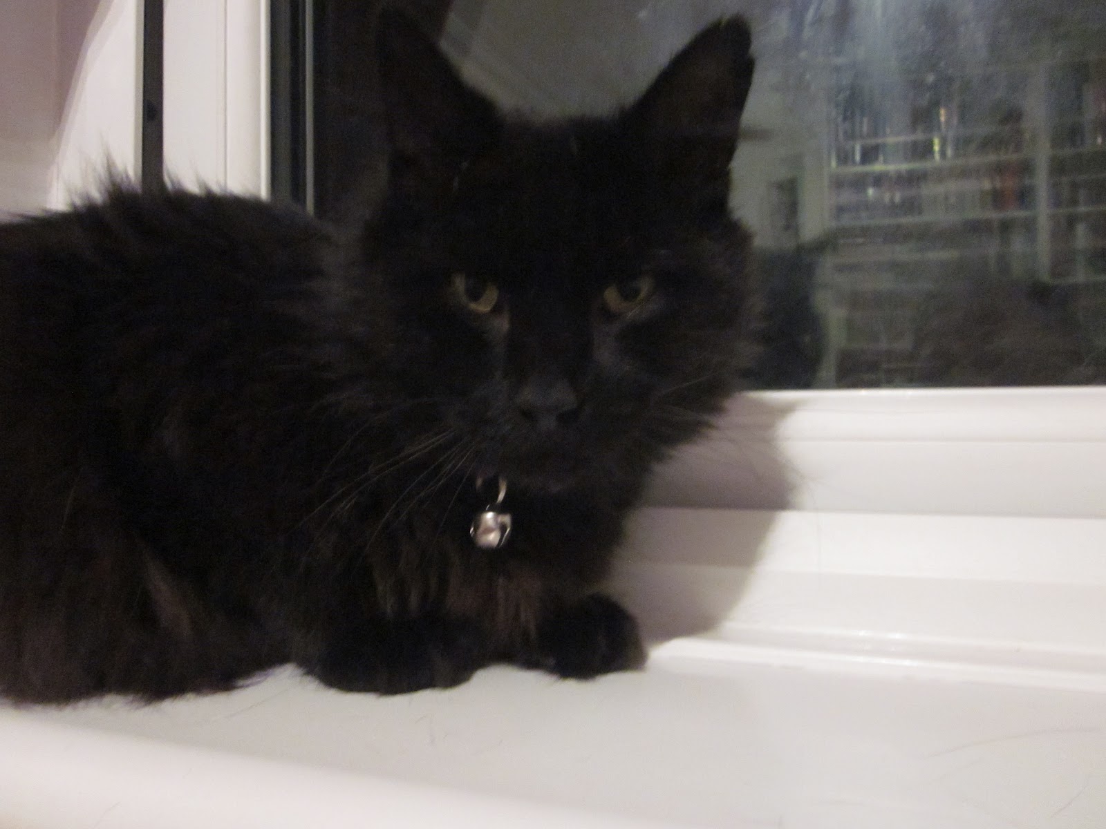 ROB SILVER: September 2012