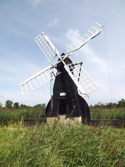 Me and my shadow: The Great British Walk at Wicken Fen with the ...