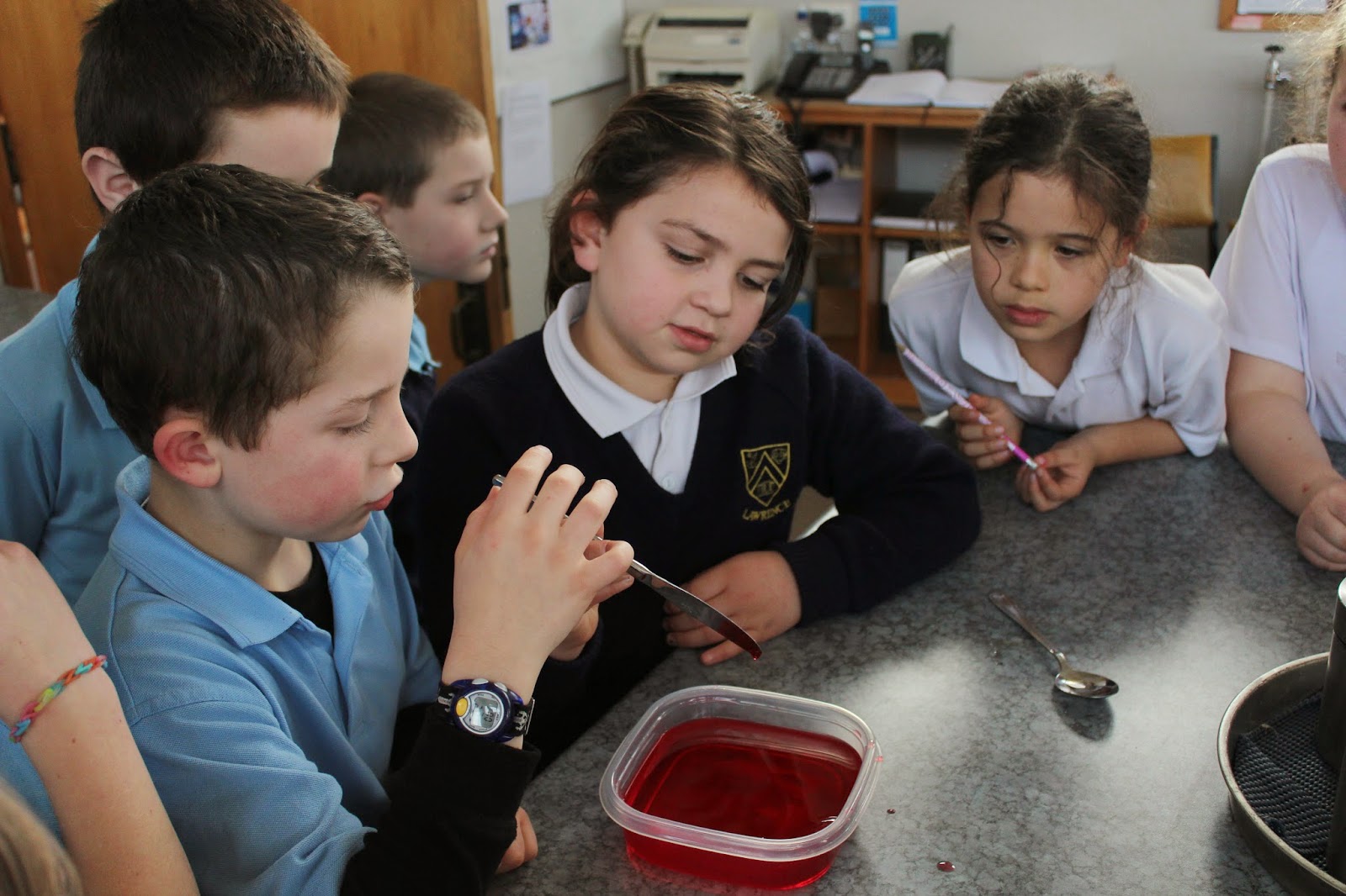 Room 4 Lawrence Area School: Jelly Experiments