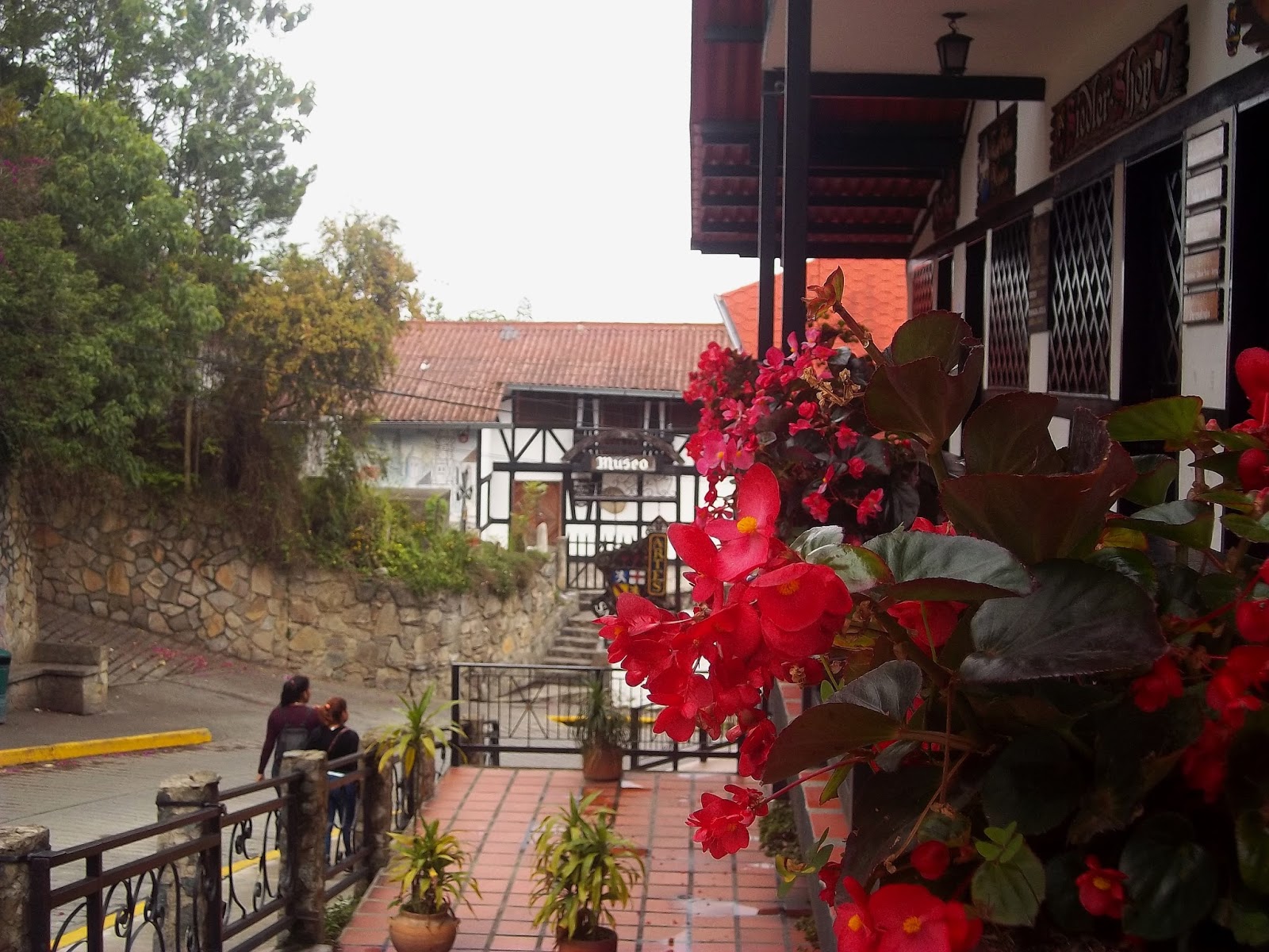 Guía para viajar a la Colonia Tovar: Un pedacito de Alemania en Venezuela