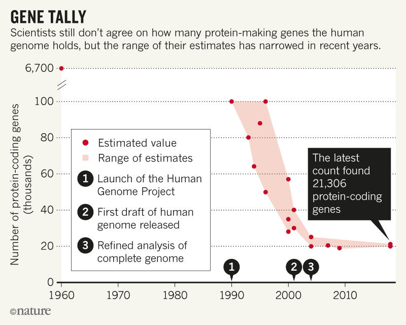 Evolution blog: Hoeveel genen heeft de mens? (2)