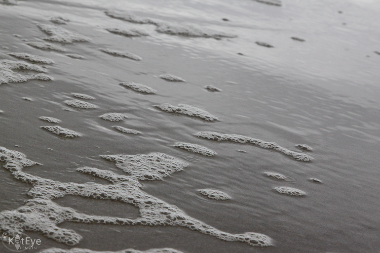 The Kat Eye View of the World: Exploring with a Camera: Found Texture