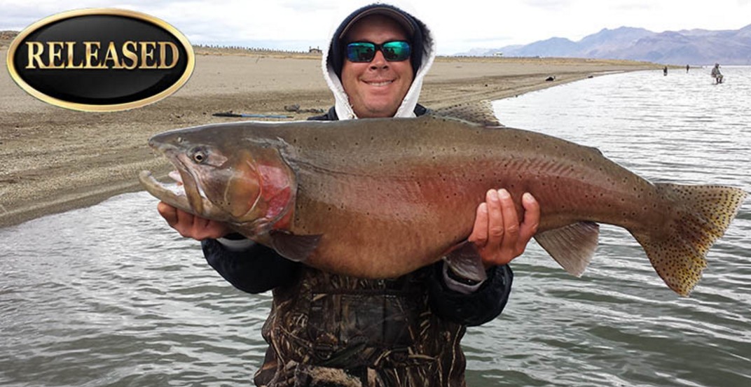 International Fishing News: WORLD RECORDS: great catches of April 2017