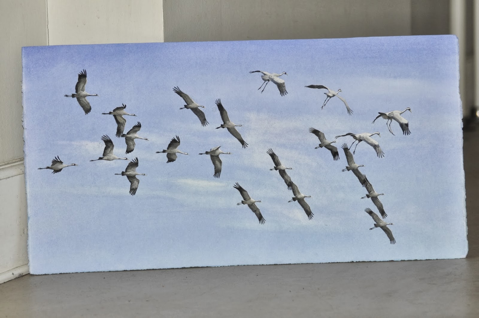 CARL CHRISTIAN TOFTE BLOG: 900 TRANER