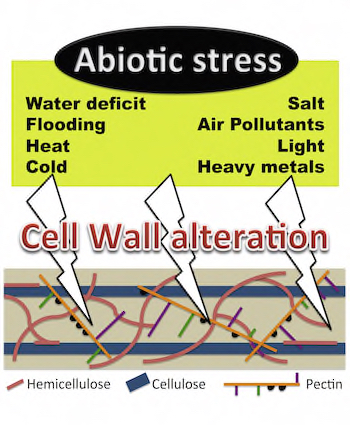 Breeding for Abiotic Stresses in Plants (A Brief Introduction to ...