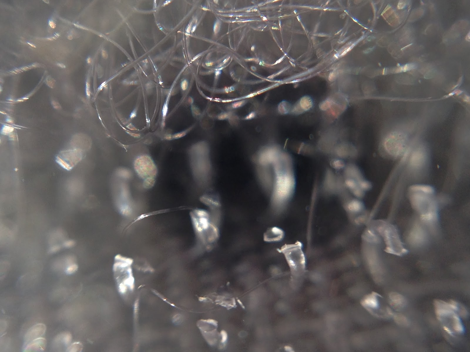 Microscopy-Pictures: Hook-and-pile fastener under the microscope