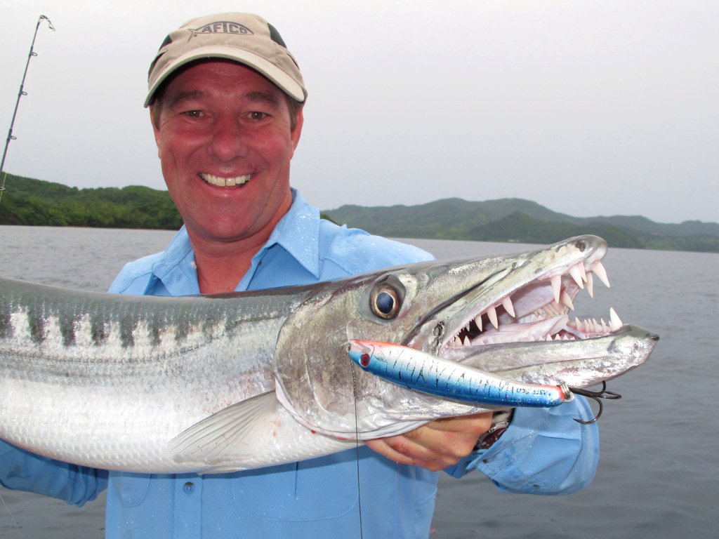 World Record Barracuda
