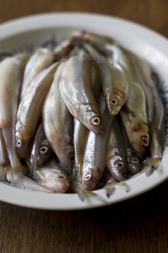 Smażone stynki, czyli co ryba ma wspólnego z ogórkiem | Kuchnia nasza ...