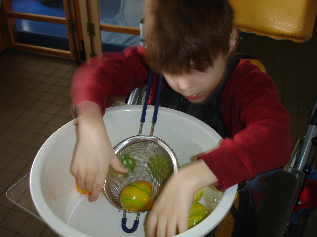 Blog van de klas van juf. Sylvie: Godsdienst: thema bomen en planten