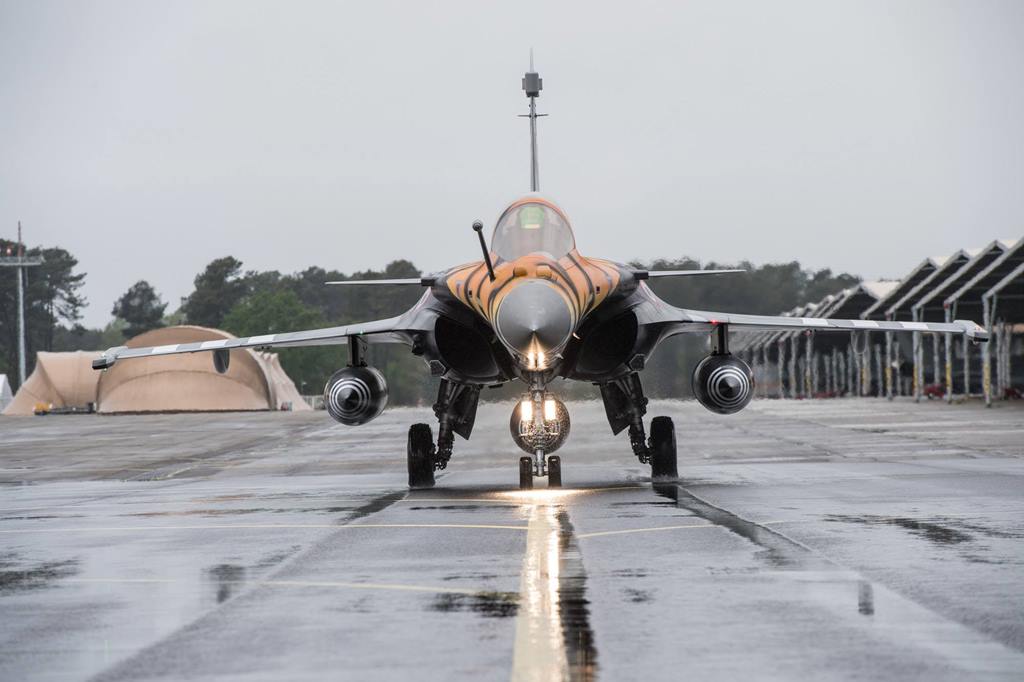 NATO Tiger Meet 2019: here is a preview of some tiger-painted aircraft ...