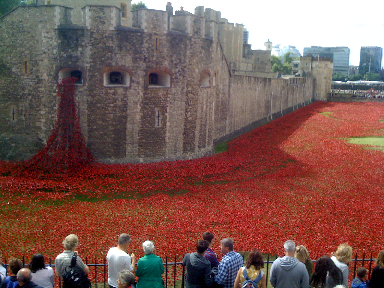 The Readiness Is All: In Flanders field the poppies blow