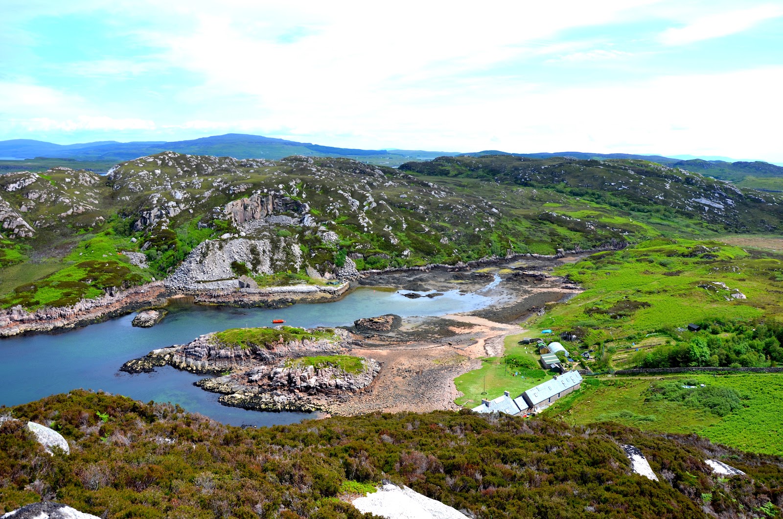 The Camas Diary: June 2012