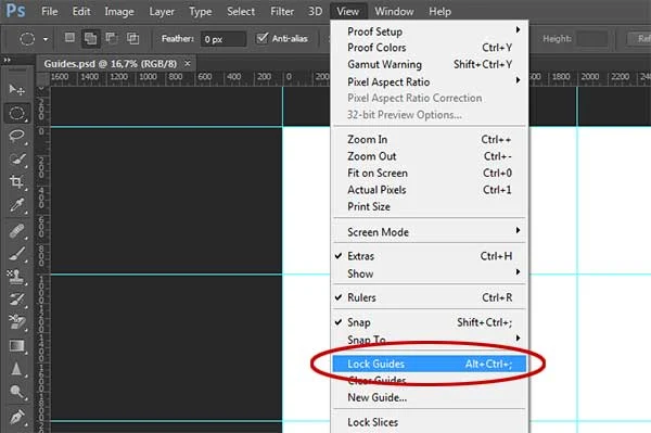 PhotoEffect: How To Make a Grid and Guides in Photoshop