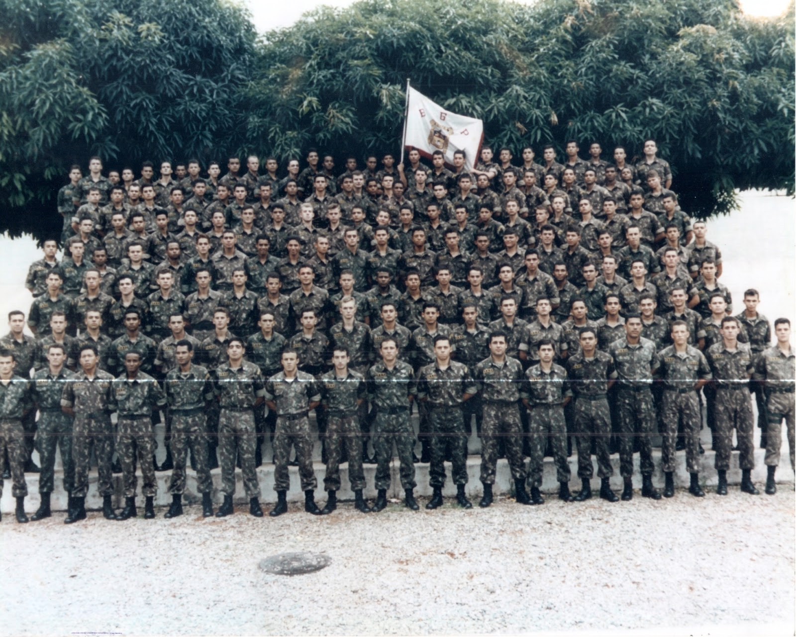 Batalhão da Saudade Paulistanos - BGP: 5ª cia Cobra melhor Cia de 1993 ...