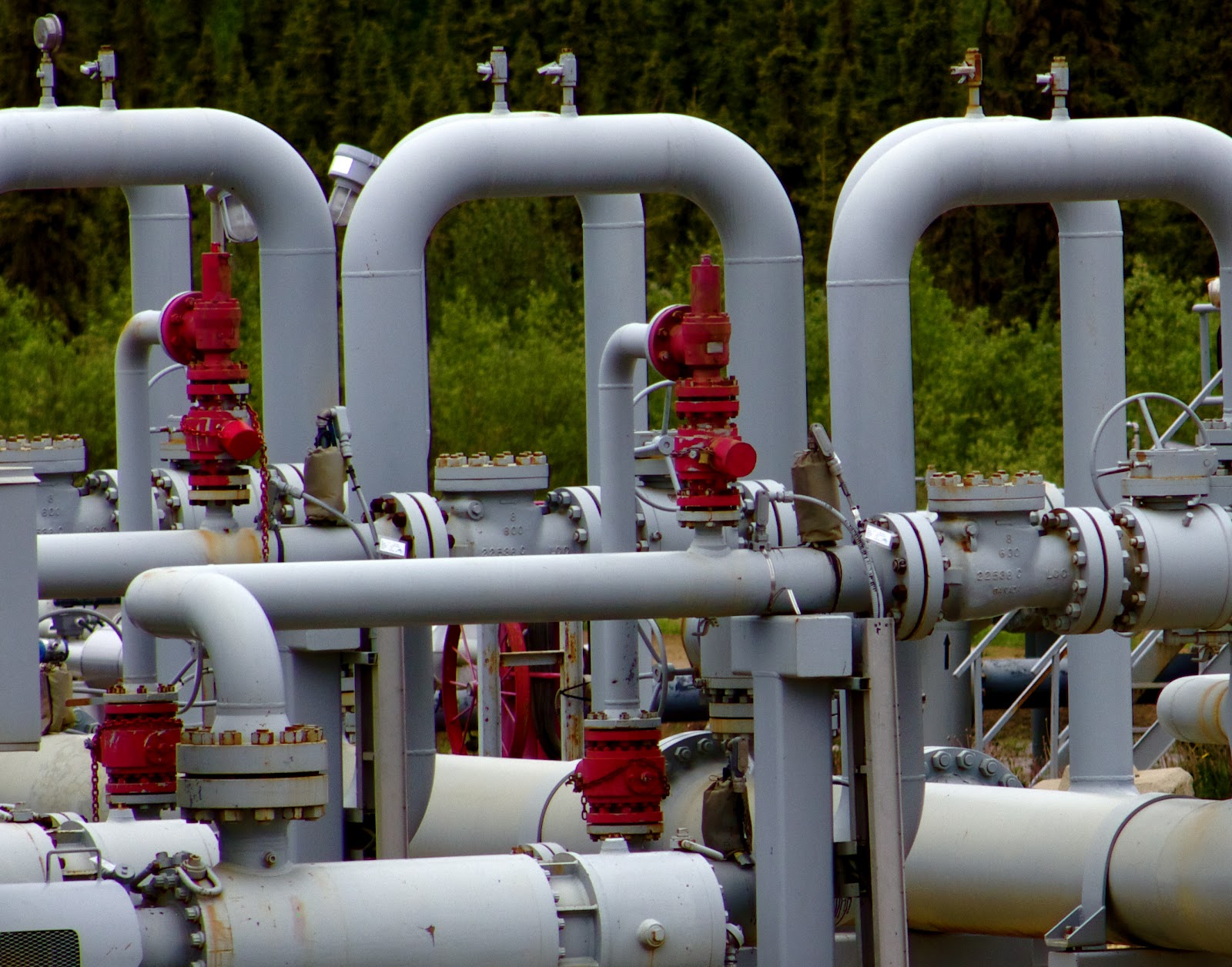 Lance Cardinal Creations: 08/17/12