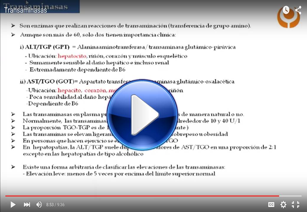 Nutrición Clínica para Profesionales de la Nutrición: Transaminasas