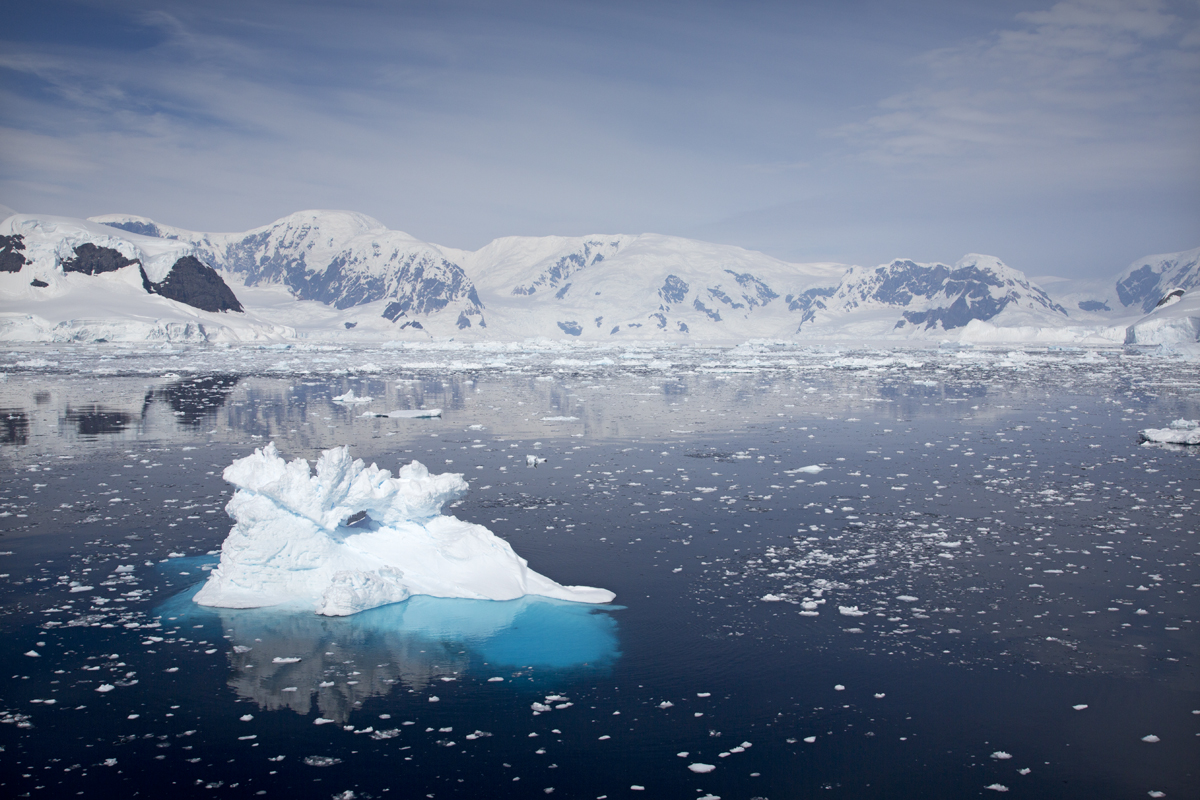 White Mountain Photography News: Antarctica Special: Wilhelmina Bay
