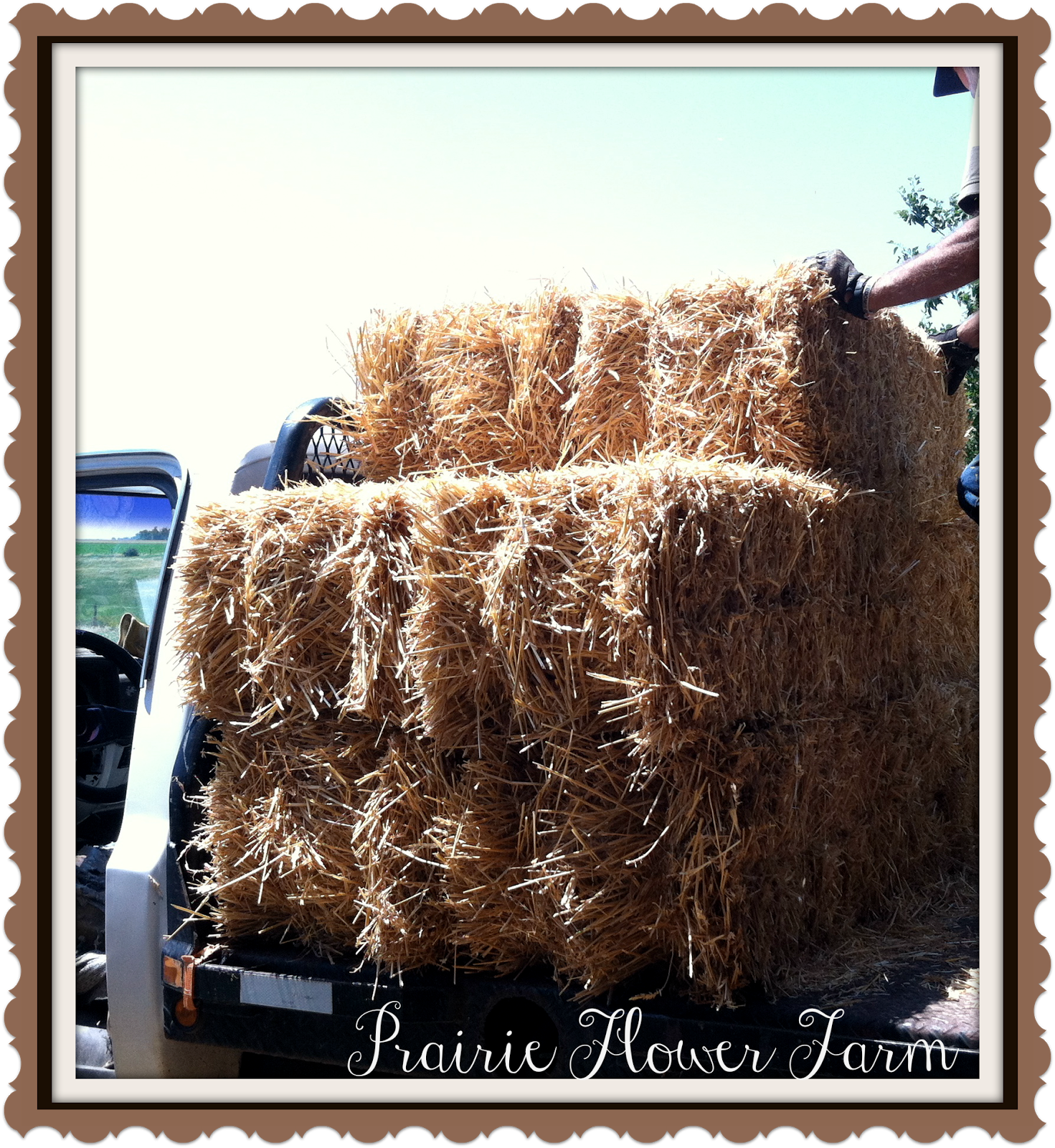 Prairie Flower Farm: Hugs to your Day!